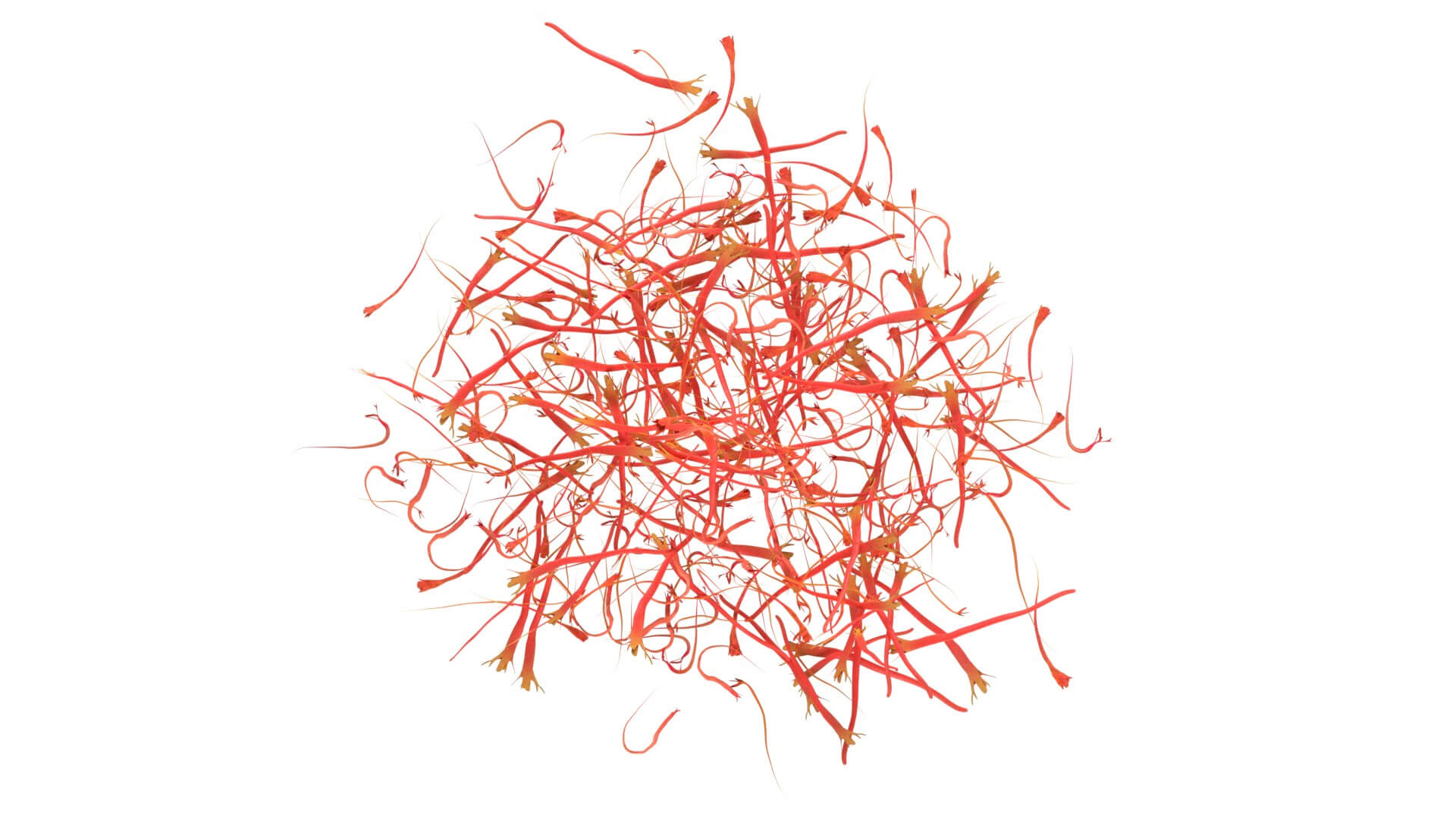 Saffron Pile 3D Model by 3dstudio