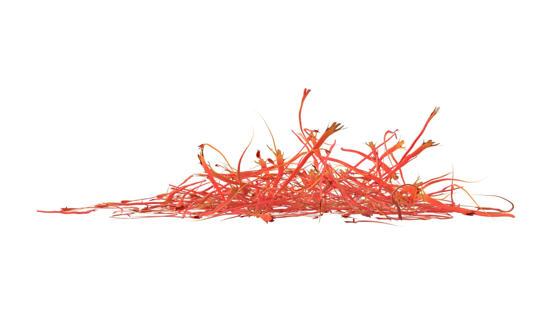 Saffron Pile 3D Model by 3dstudio