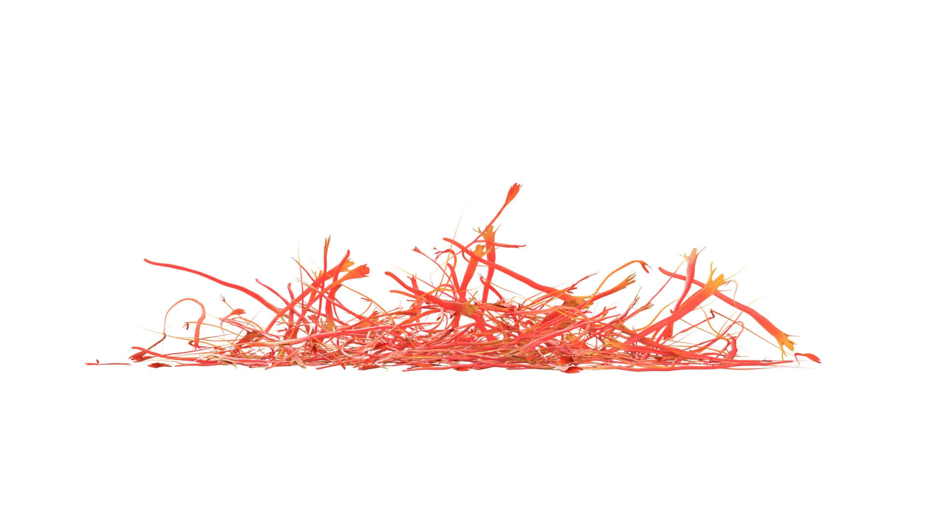 Saffron Pile 3D Model by 3dstudio