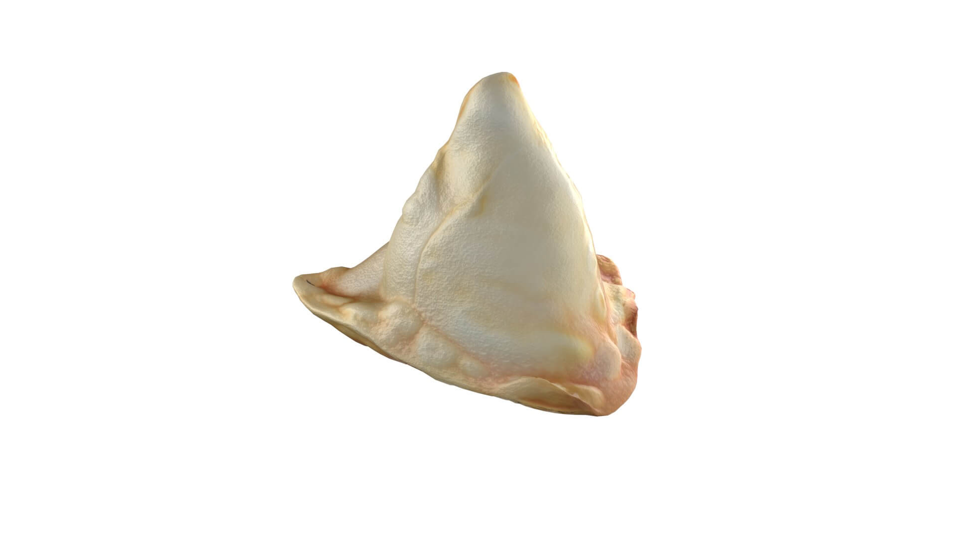 Samosa 3D Model by 3dstudio