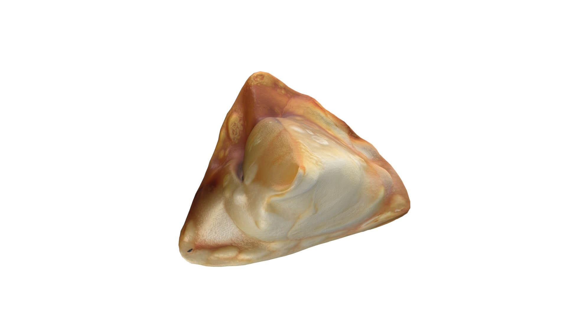 Samosa 3D Model by 3dstudio