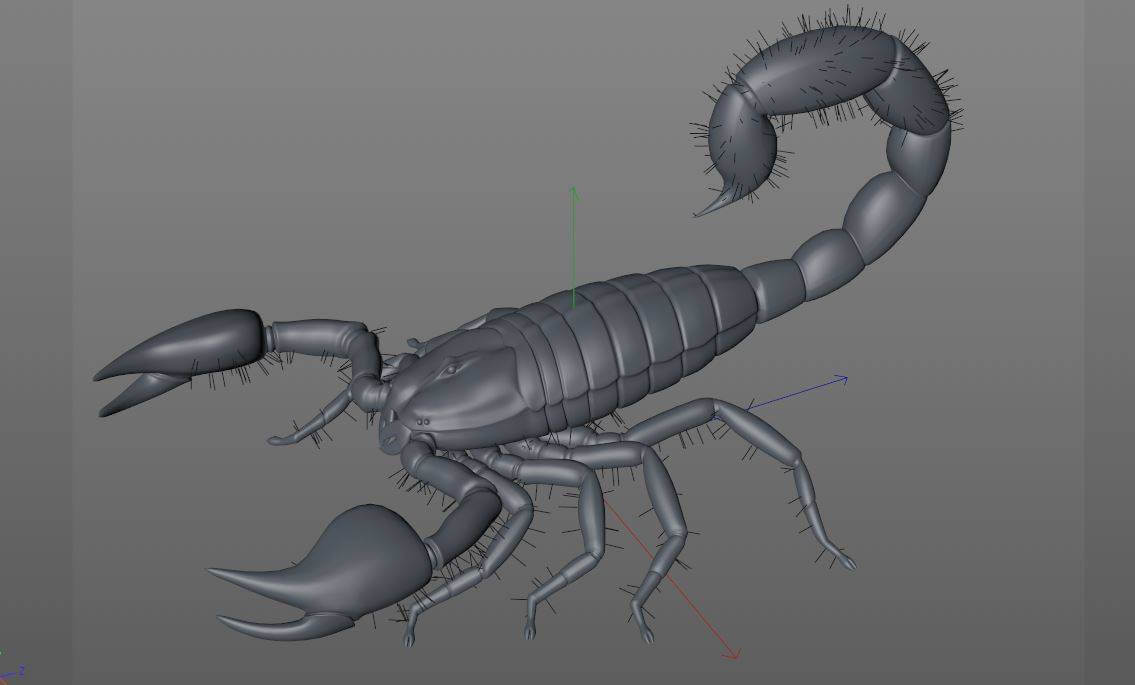 Scorpion - 3D Model by 3dstudio