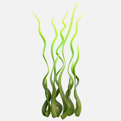 Seaweed 8 3D Model by 3dstudio