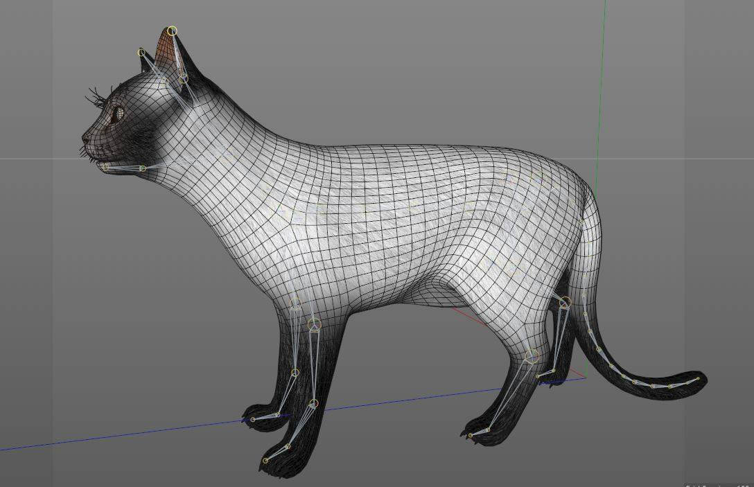 Siamese Cat - 3D Model by 3dstudio