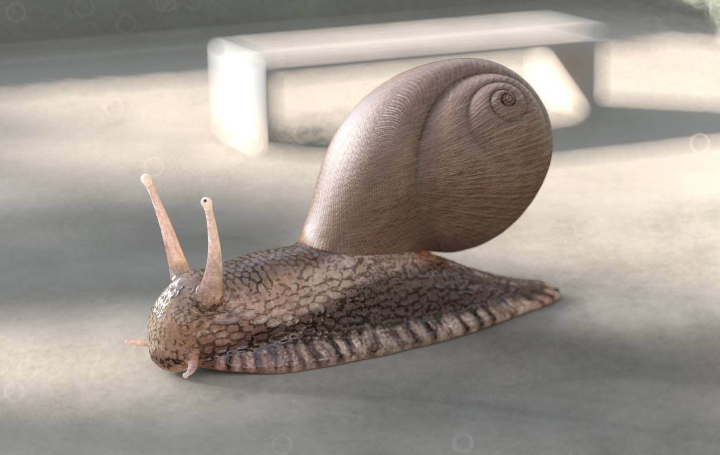 Snail - 3D Model by 3dstudio
