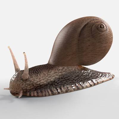 Snail - 3D Model by 3dstudio
