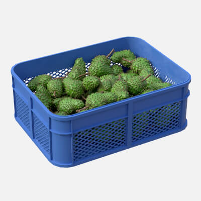 Soursop Plastic Crate - 3D Model by 3dstudio