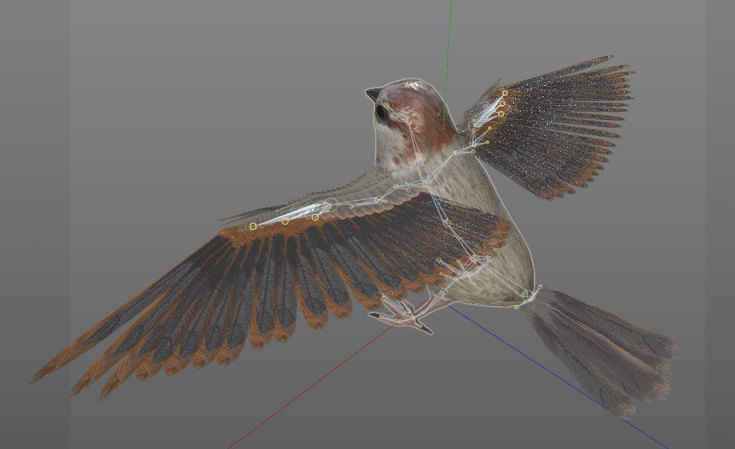 Sparrow - 3D Model by 3dstudio