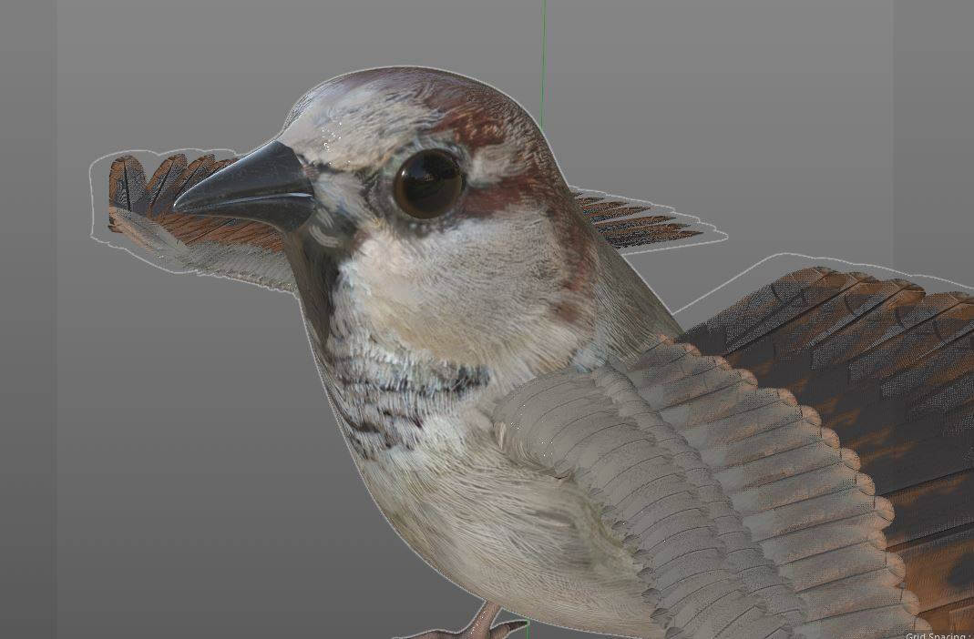 Sparrow - 3D Model by 3dstudio