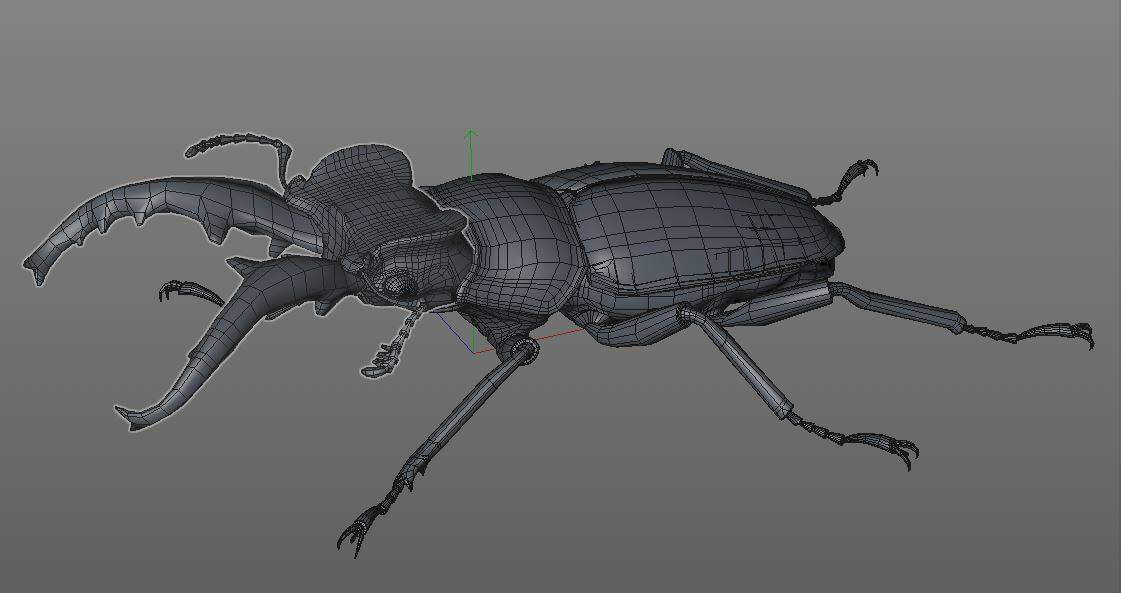 Stag Beetle - 3D Model by 3dstudio