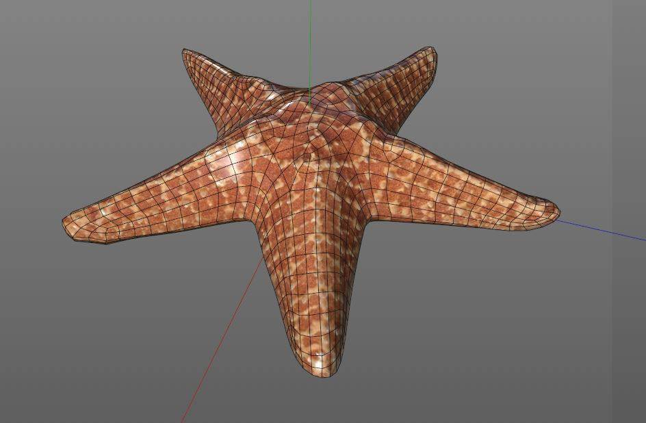 Starfish Pack - 3D Model by 3dstudio