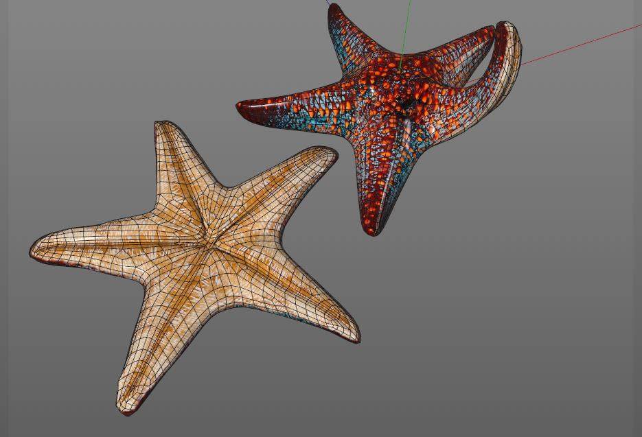 Starfish Pack - 3D Model by 3dstudio