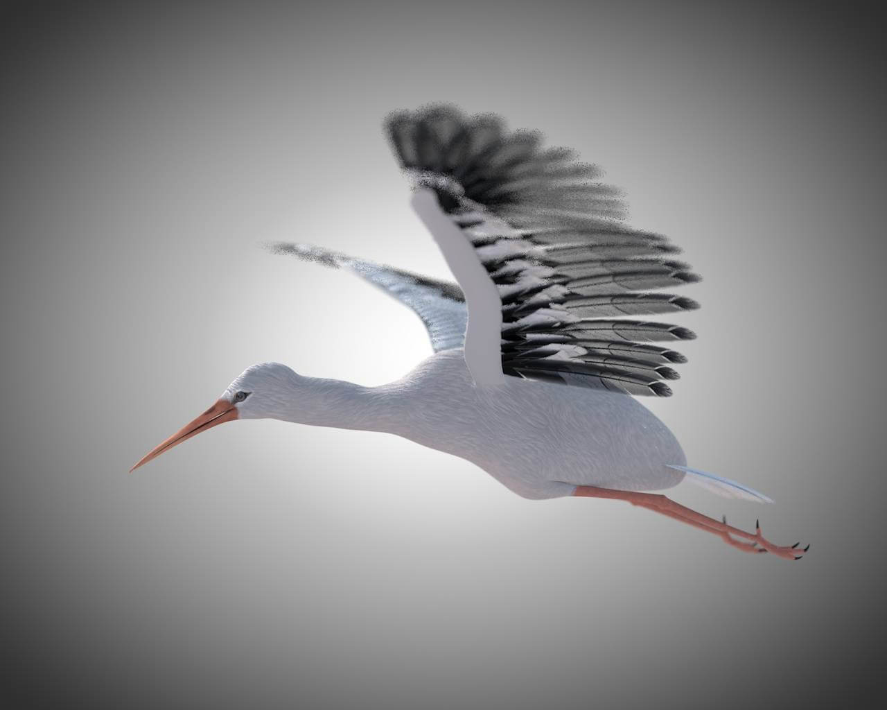 Stork - 3D Model by 3dstudio