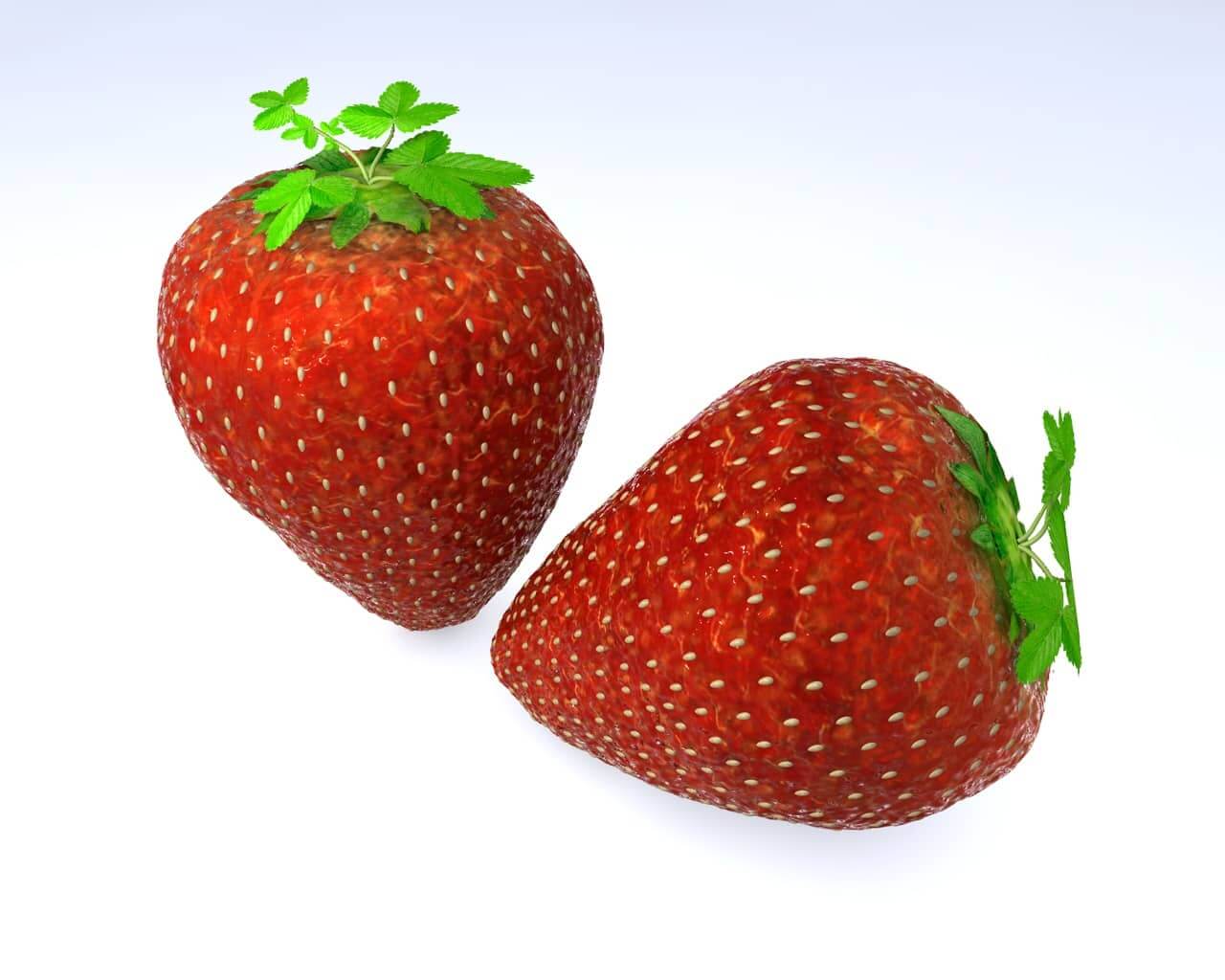 Strawberry - 3D Model by 3dstudio
