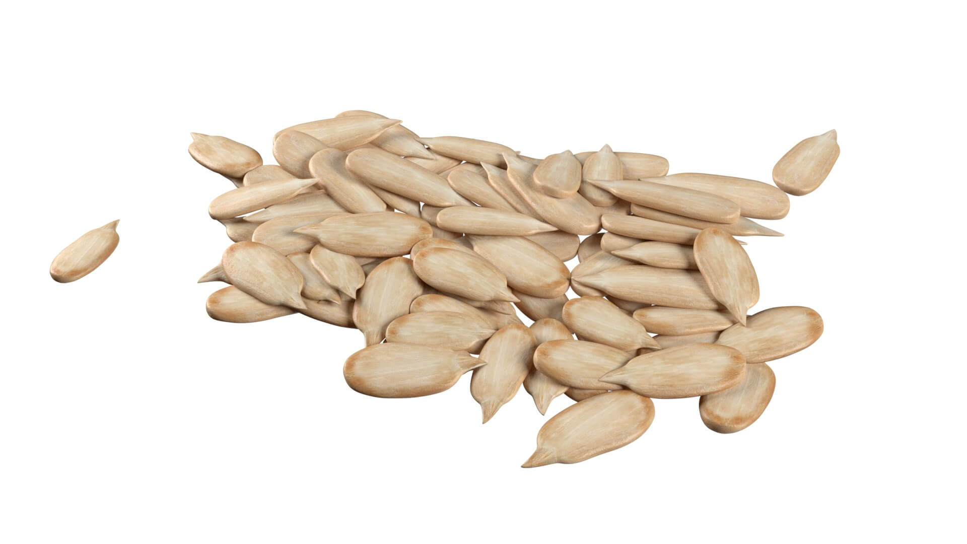 Sunflower Seed Pile V1 - 3D Model by 3dstudio