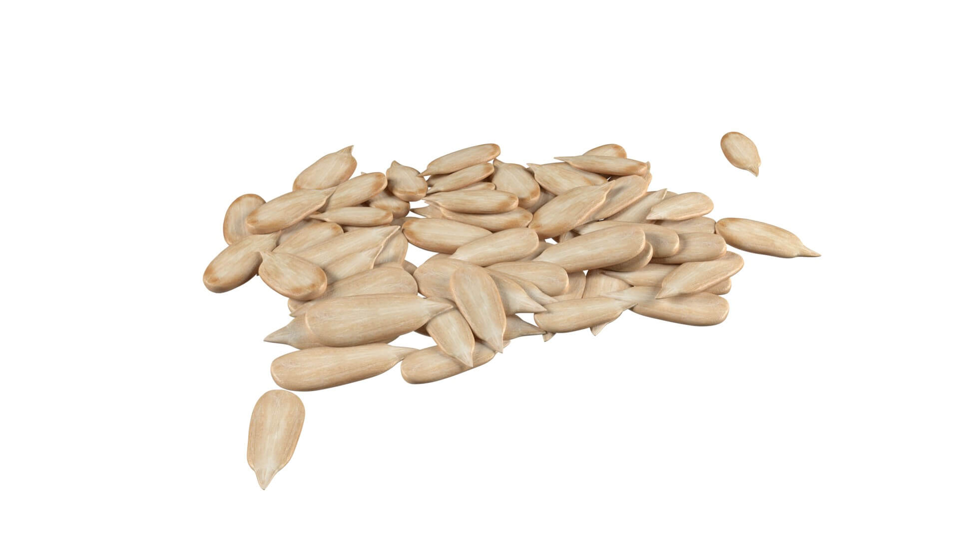 Sunflower Seed Pile V1 - 3D Model by 3dstudio