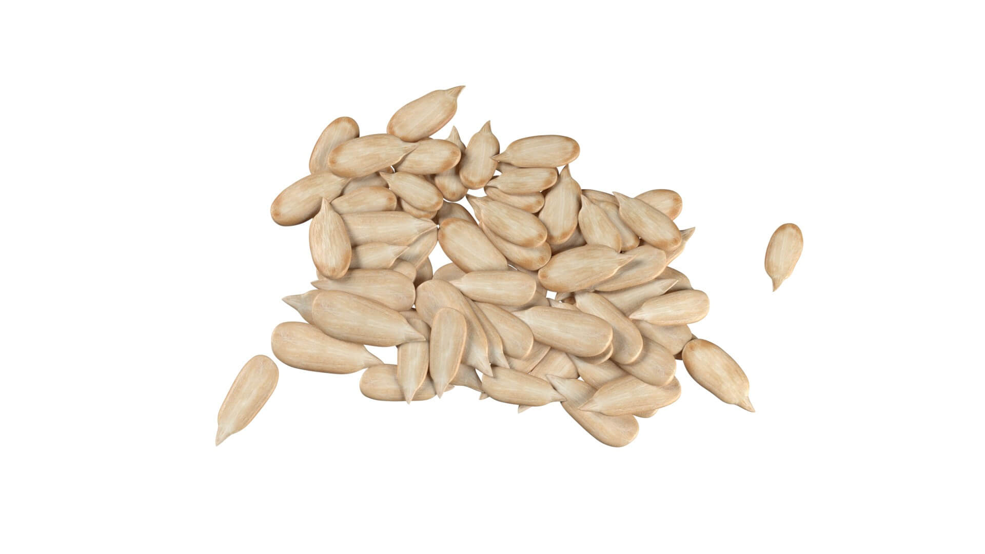 Sunflower Seed Pile V1 - 3D Model by 3dstudio