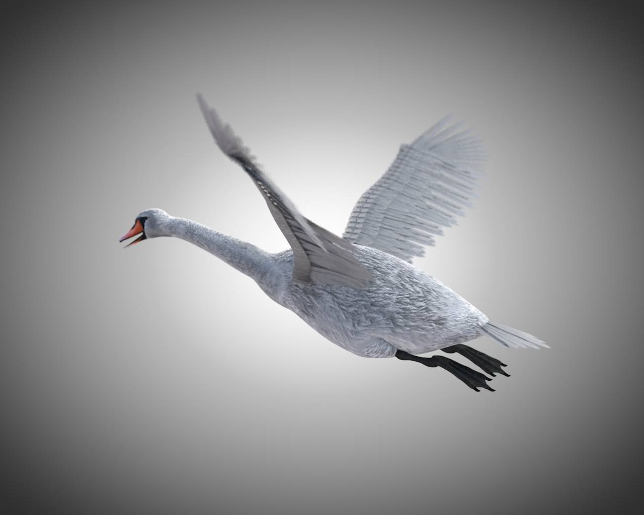 Swan - 3D Model by 3dstudio