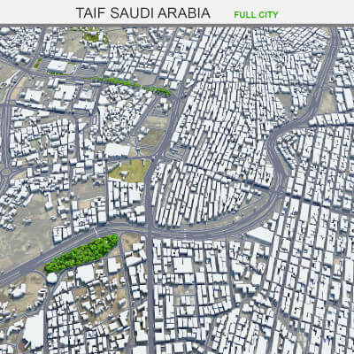 Taif City Saudi Arabia 3D Model 50km by 3dstudio