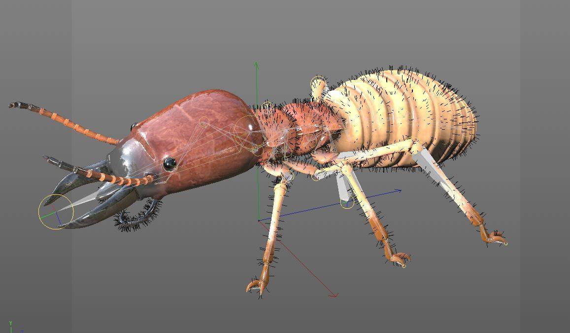 Termite - 3D Model by 3dstudio