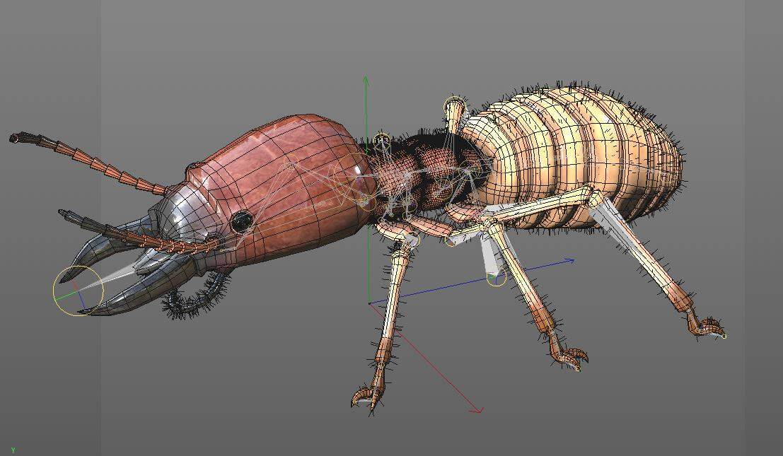 Termite - 3D Model by 3dstudio