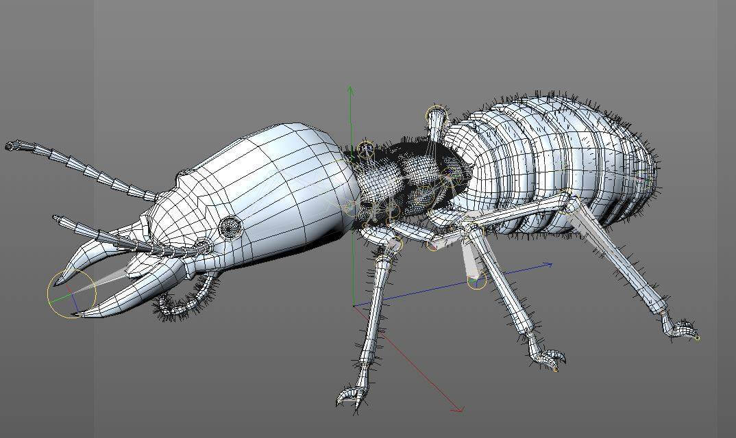 Termite - 3D Model by 3dstudio