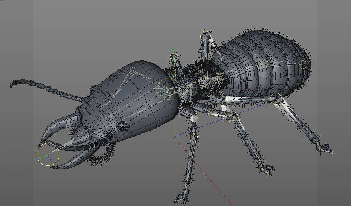 Termite - 3D Model by 3dstudio