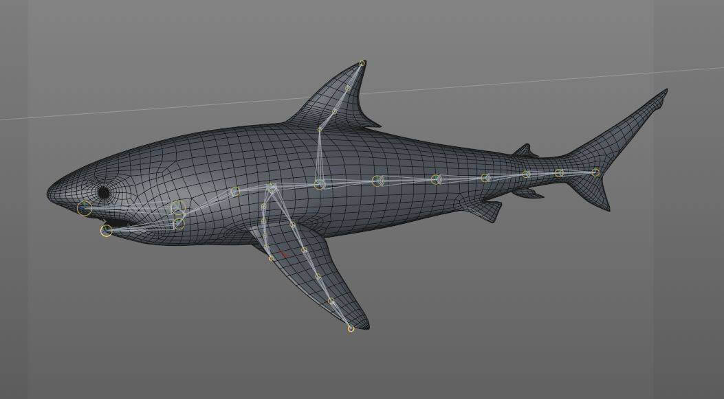 Tigershark - 3D Model by 3dstudio