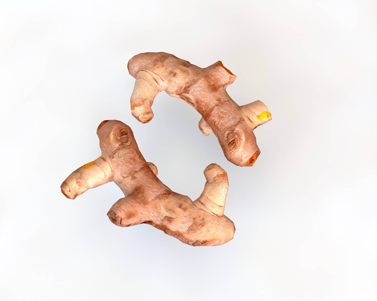 Turmeric Root - 3D Model by 3dstudio