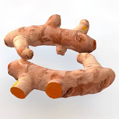 Turmeric Root - 3D Model by 3dstudio