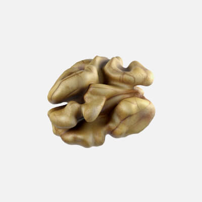 Walnut Kernel V1 - Free 3D Model by 3dstudio