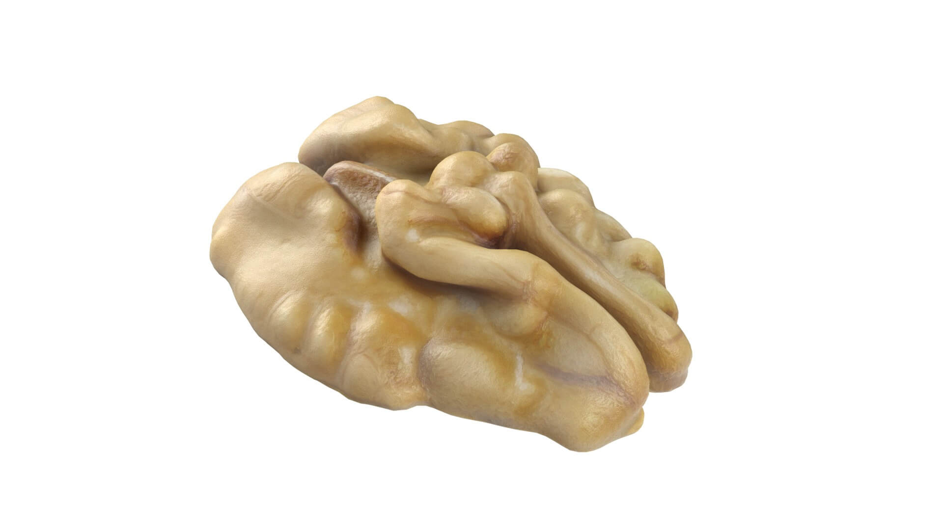 Walnut Kernel V2 - 3D Model by 3dstudio