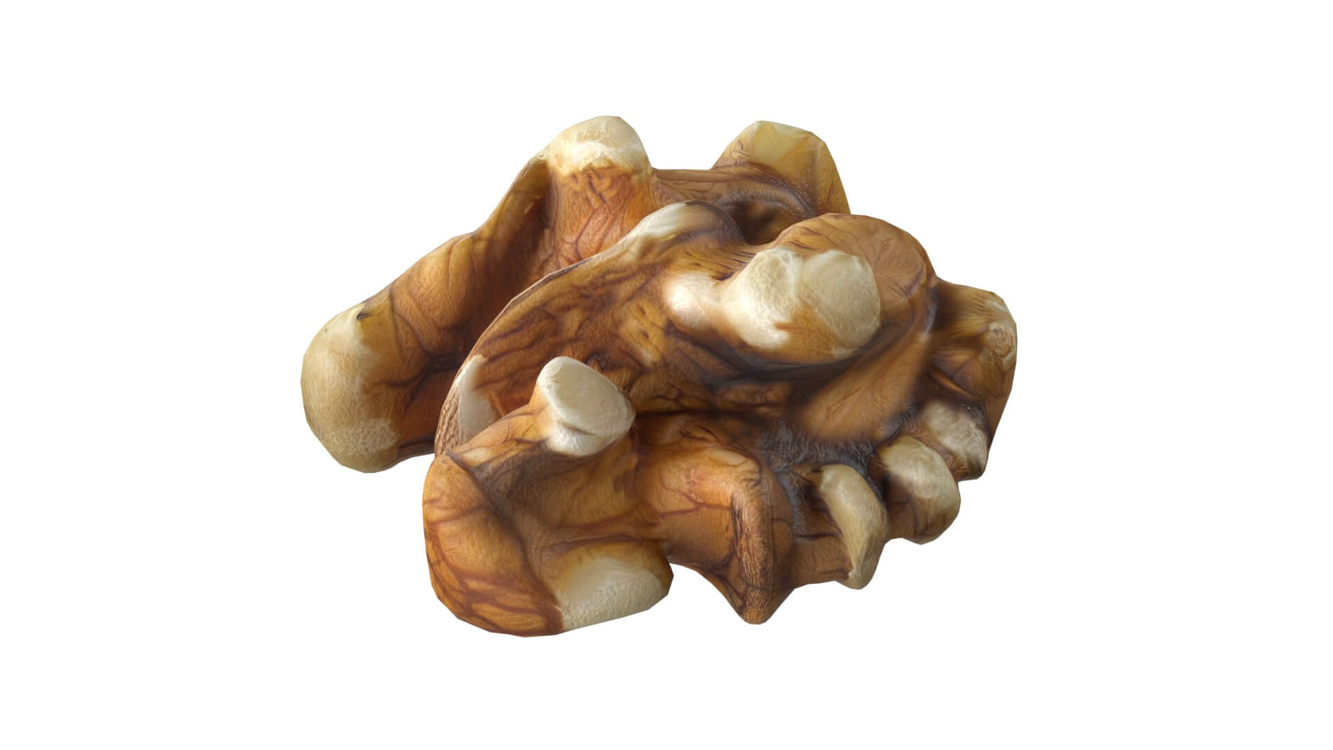 Walnut Kernel V4 - 3D Model by 3dstudio