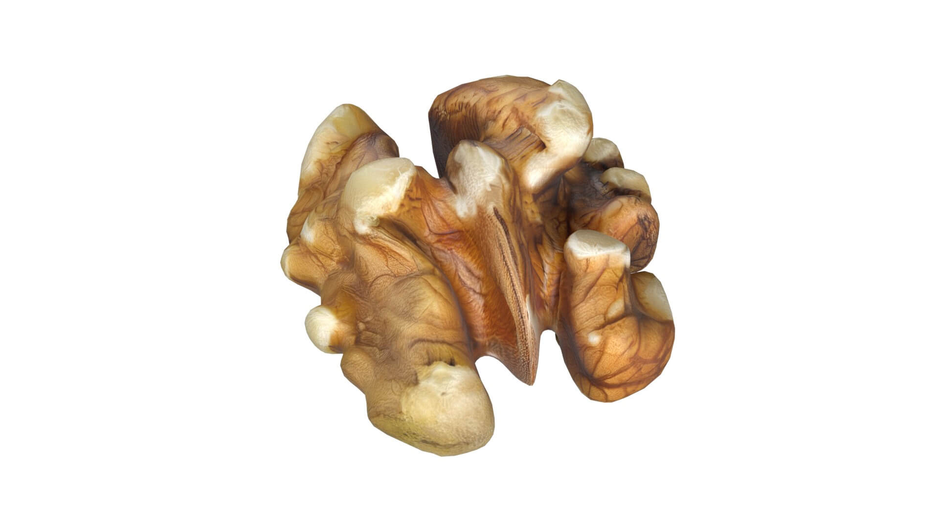 Walnut Kernel V4 - 3D Model by 3dstudio