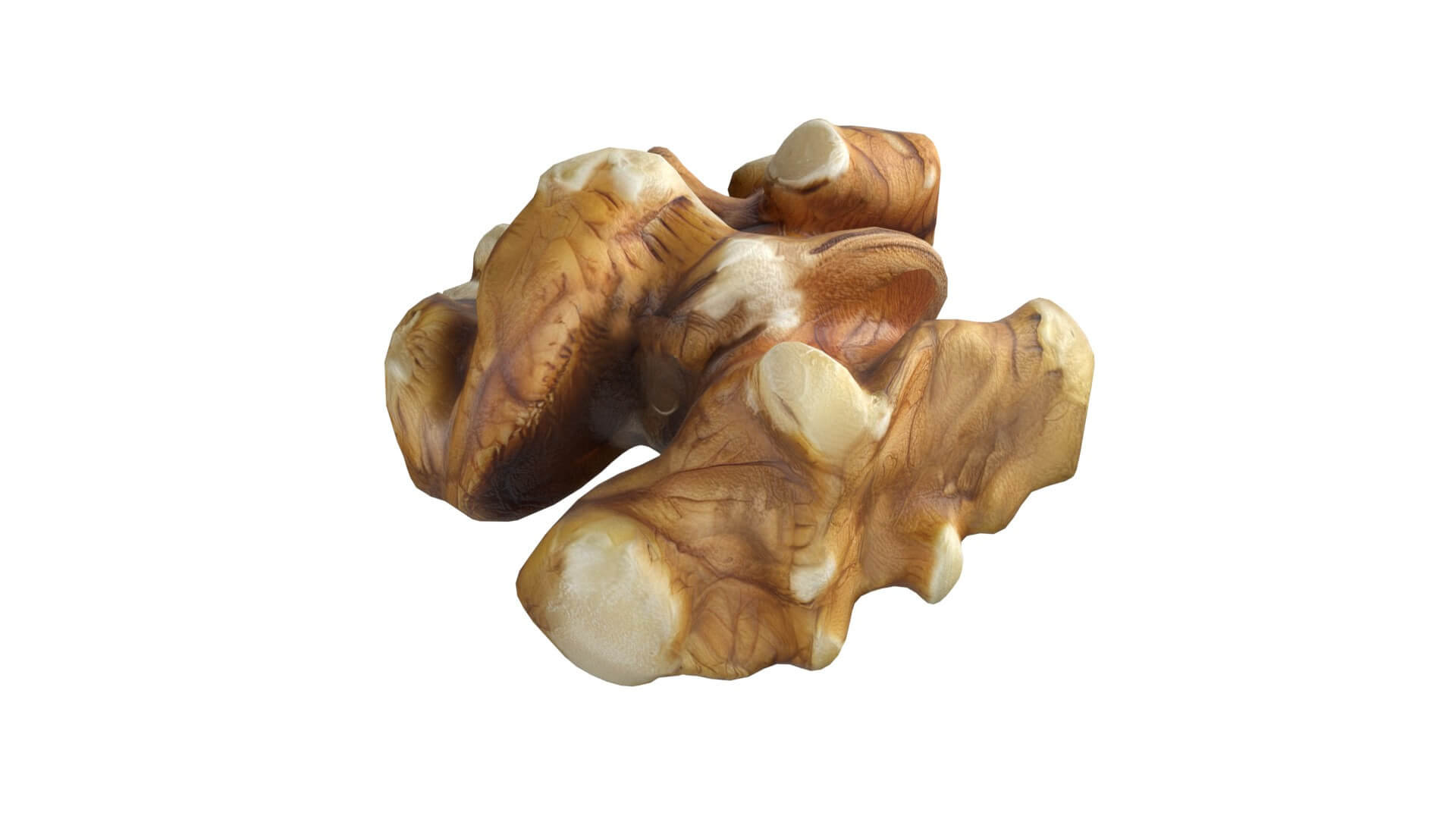 Walnut Kernel V4 - 3D Model by 3dstudio