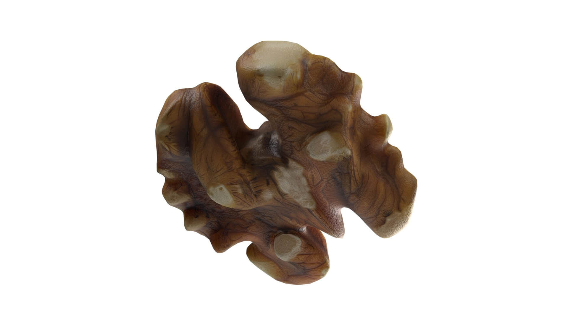 Walnut Kernel V4 - 3D Model by 3dstudio