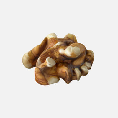 Walnut Kernel V4 - 3D Model by 3dstudio