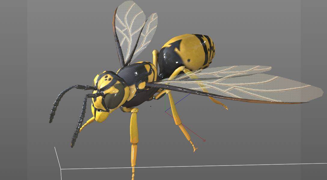 Wasp - 3D Model by 3dstudio