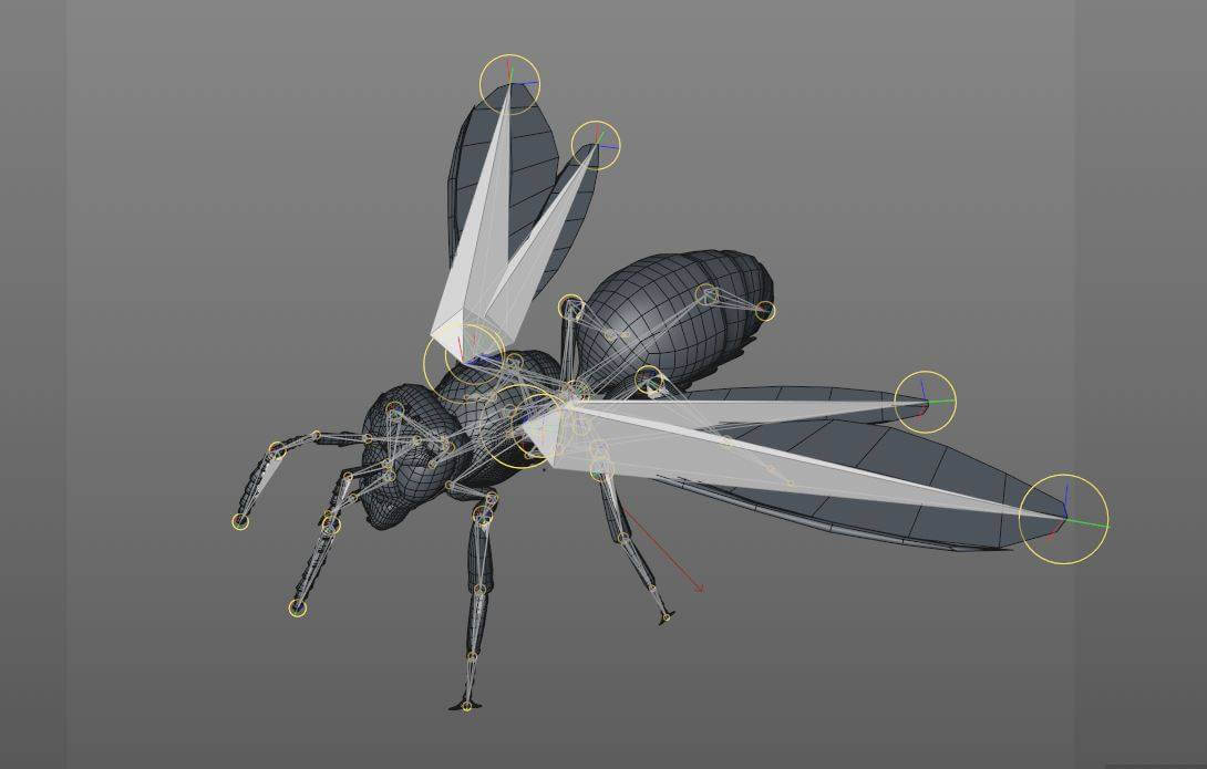Wasp - 3D Model by 3dstudio