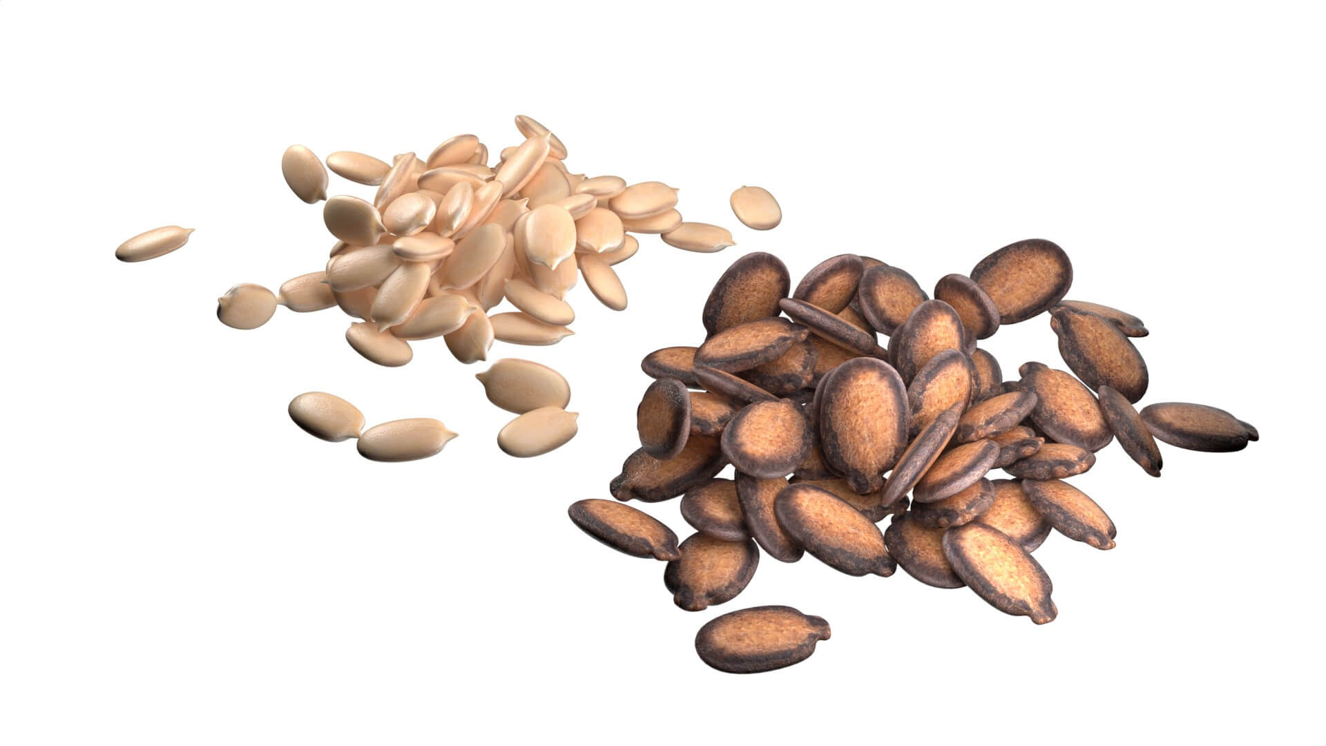 Watermelon seed Pile - 3D Model by 3dstudio