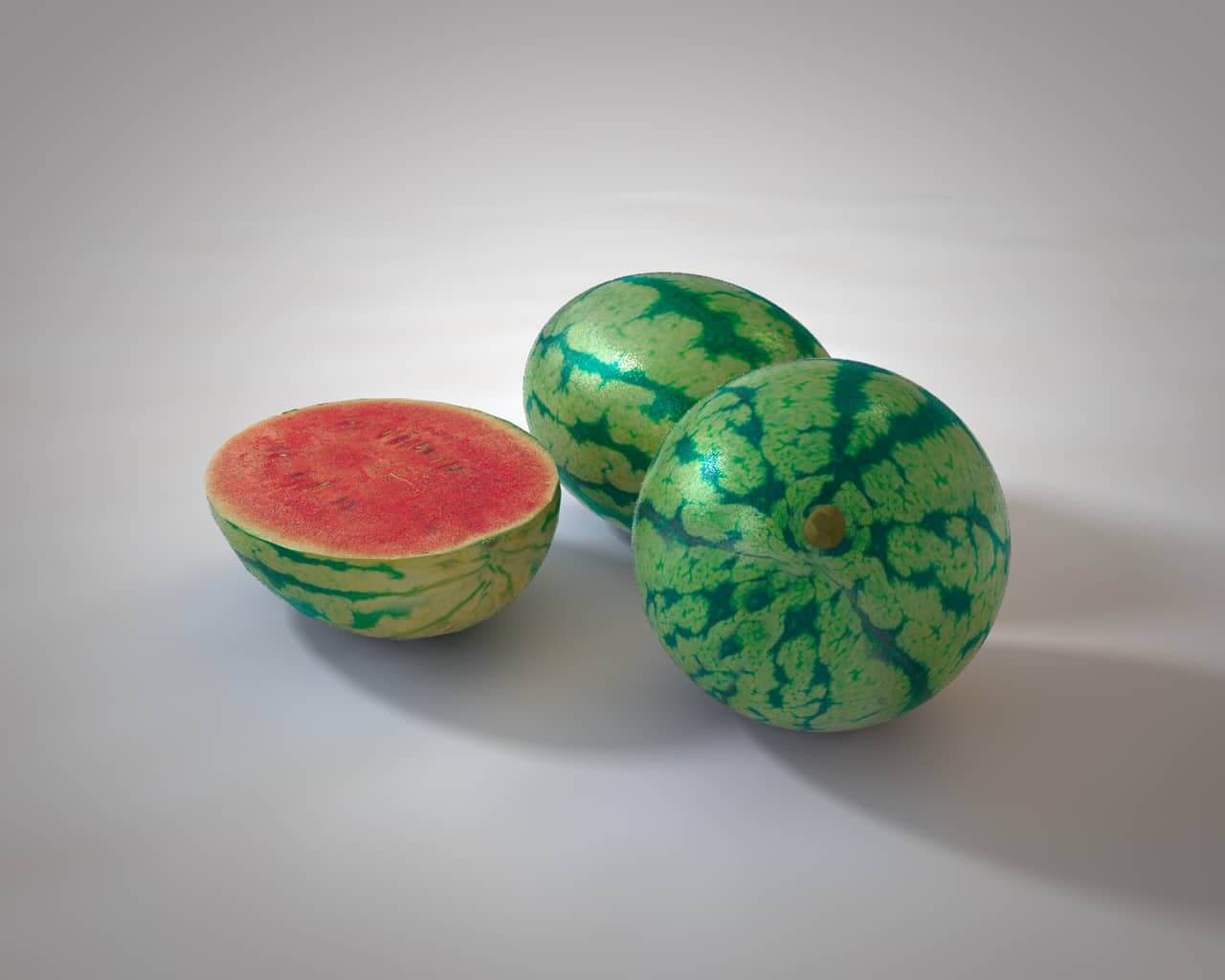 Watermelon - 3D Model by 3dstudio