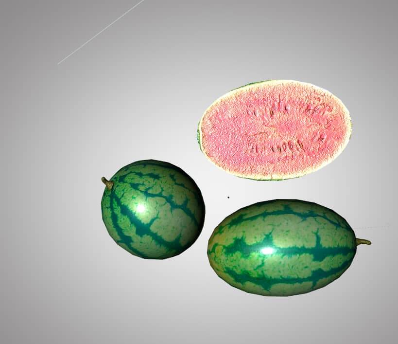 Watermelon - 3D Model by 3dstudio