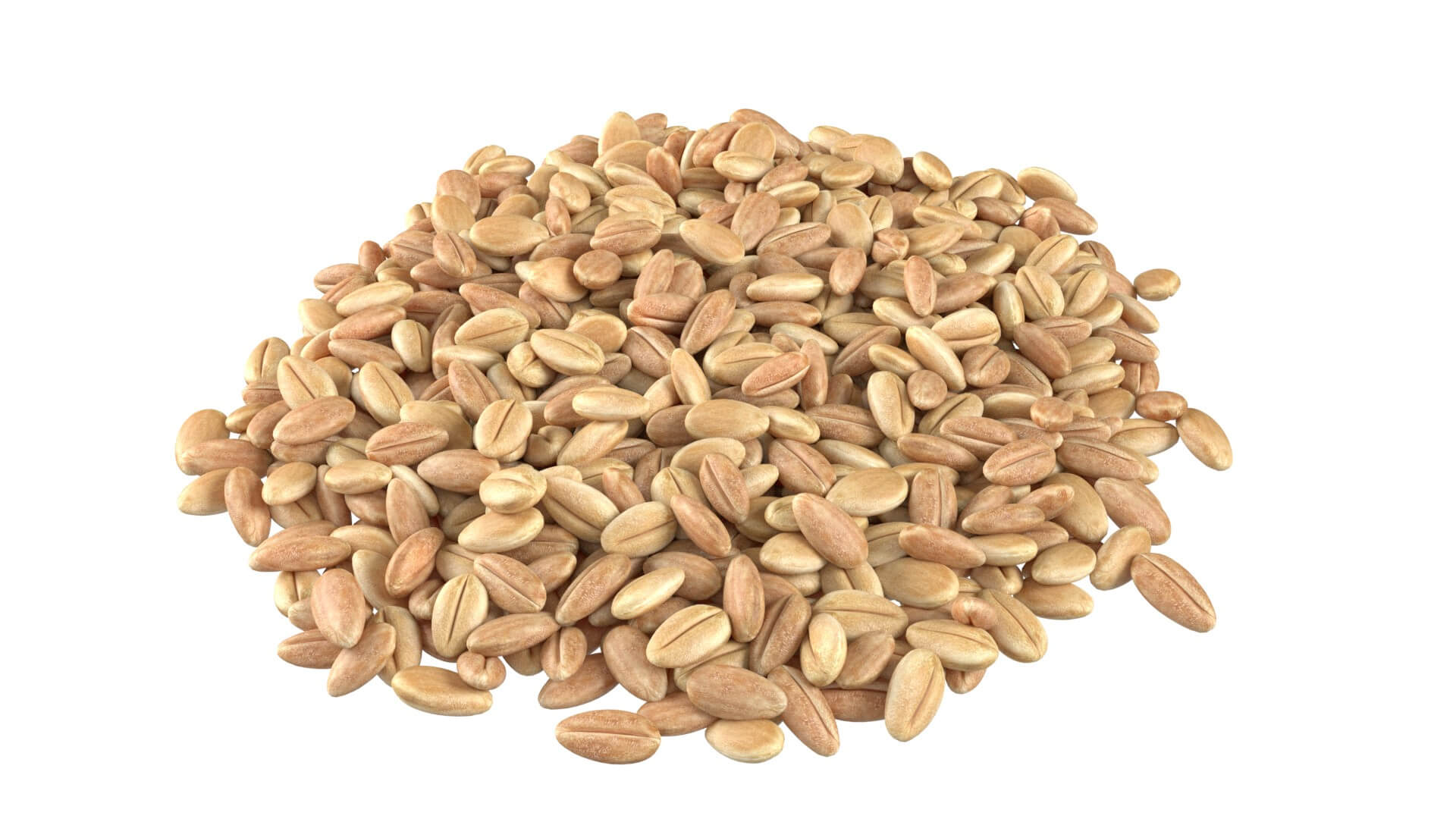 Wheat Spike Grain Scoop and Pile - 3D Model by 3dstudio