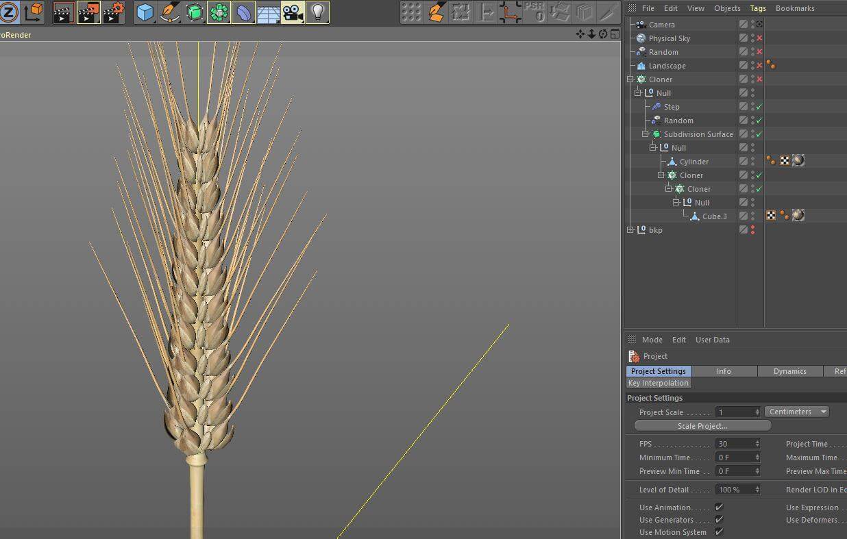 Wheat - 3D Model by 3dstudio