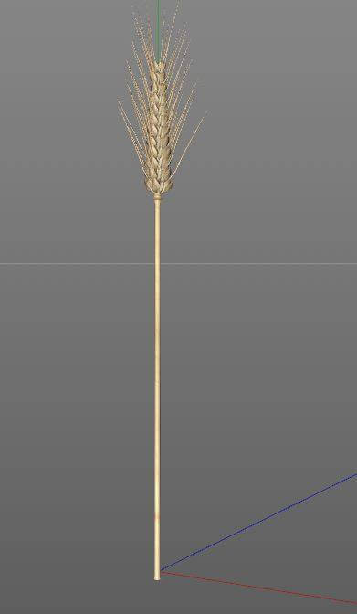 Wheat - 3D Model by 3dstudio
