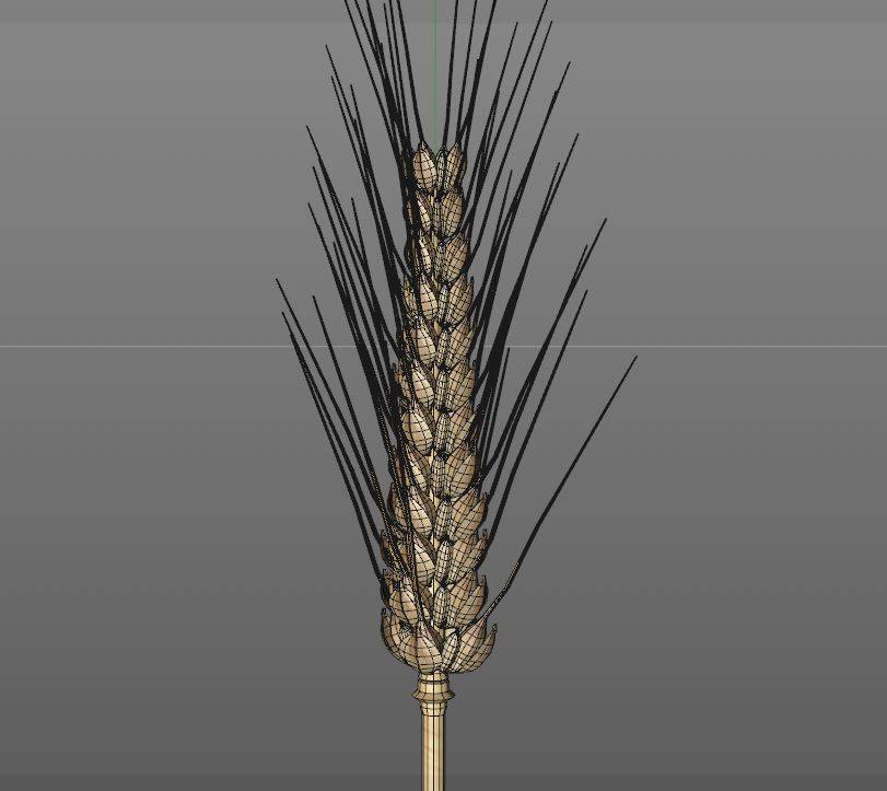 Wheat - 3D Model by 3dstudio