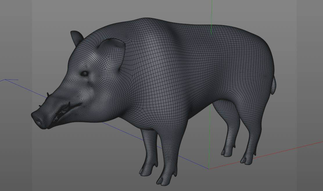 Wild Boar with Fur - 3D Model by 3dstudio