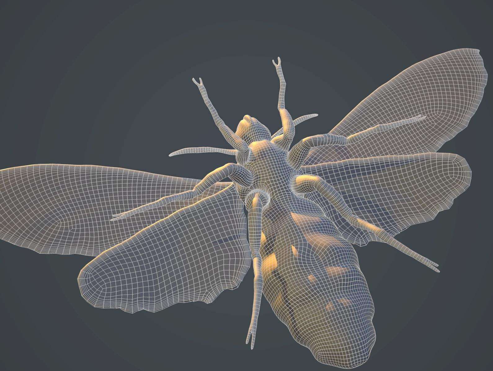 Death Head Hawk Moth (Acherontia Atropos) - 3D Model by 3DTerra