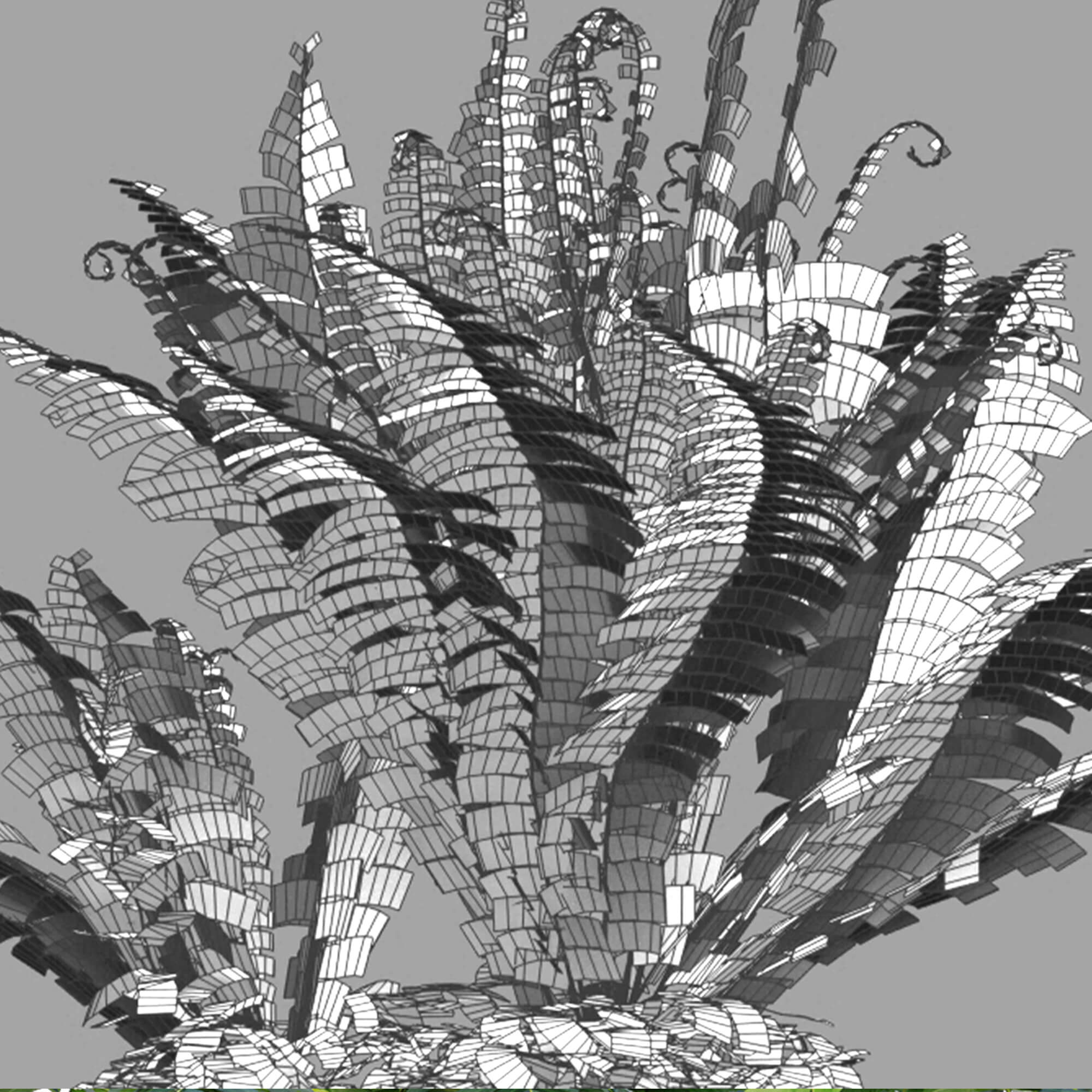 Microlepia Strigosa – Fern - 3D Model by 3DTree Team