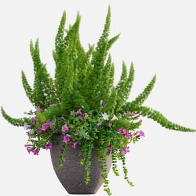 Pot Plant 01 - 3D Model by 3DTree Team